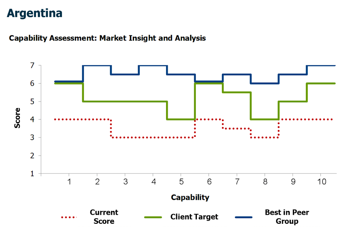 Assessing and Developing Marketing Capability - Market Edge